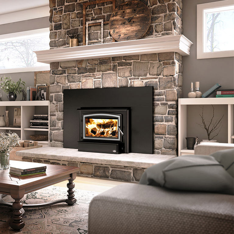 Fireplace Inserts | Modern and Stylish in Gas, Propane, or Wood ...